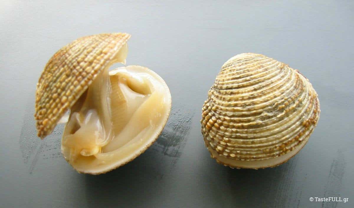 Όστρακα | TasteFULL.gr